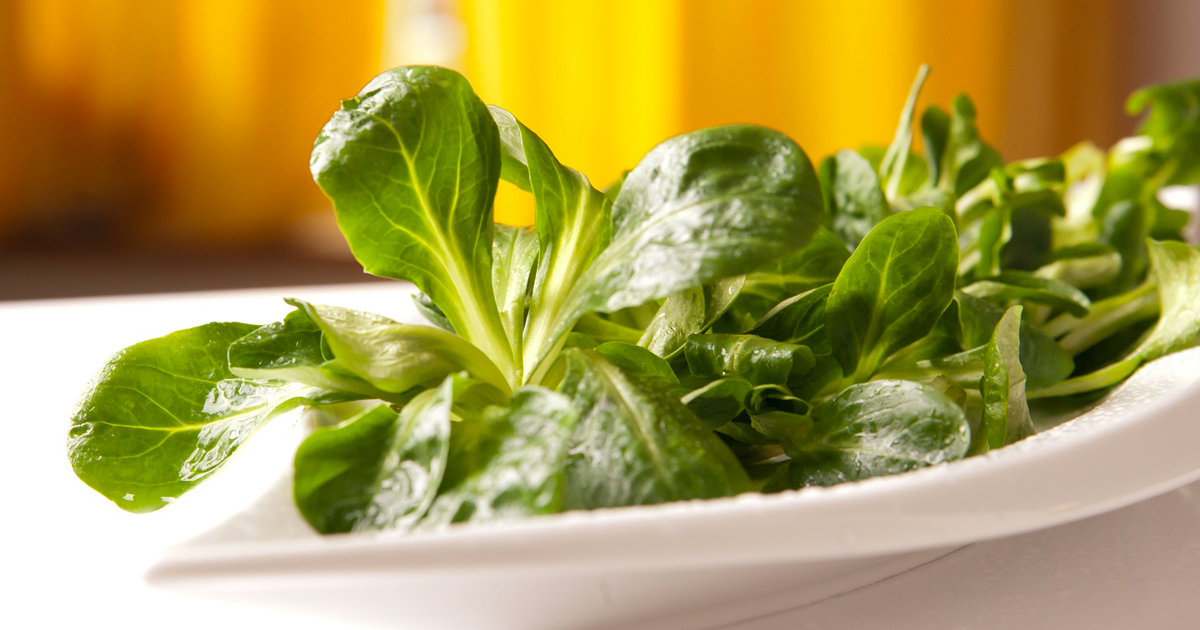 I segreti del Songino - Dimensione Suono Soft