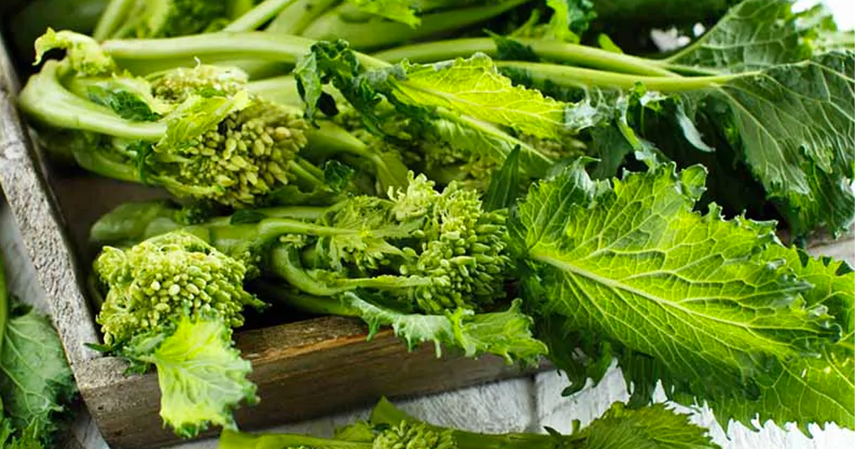 Broccoletto di Roccasecca, ecco i segreti - Dimensione Suono Soft