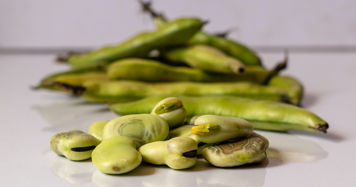 Fave: ecco i segreti - Segreti in tavola - Dimensione Suono Soft