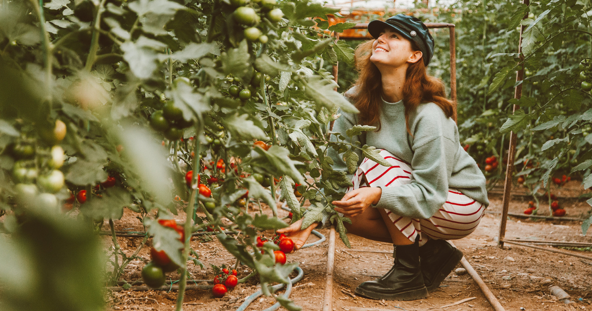 Orto? sì, in città! - Dimensione Suono Soft