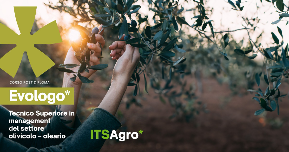 Evologo: il nuovo professionista dell'olio. Laura Fini ci svela le ...